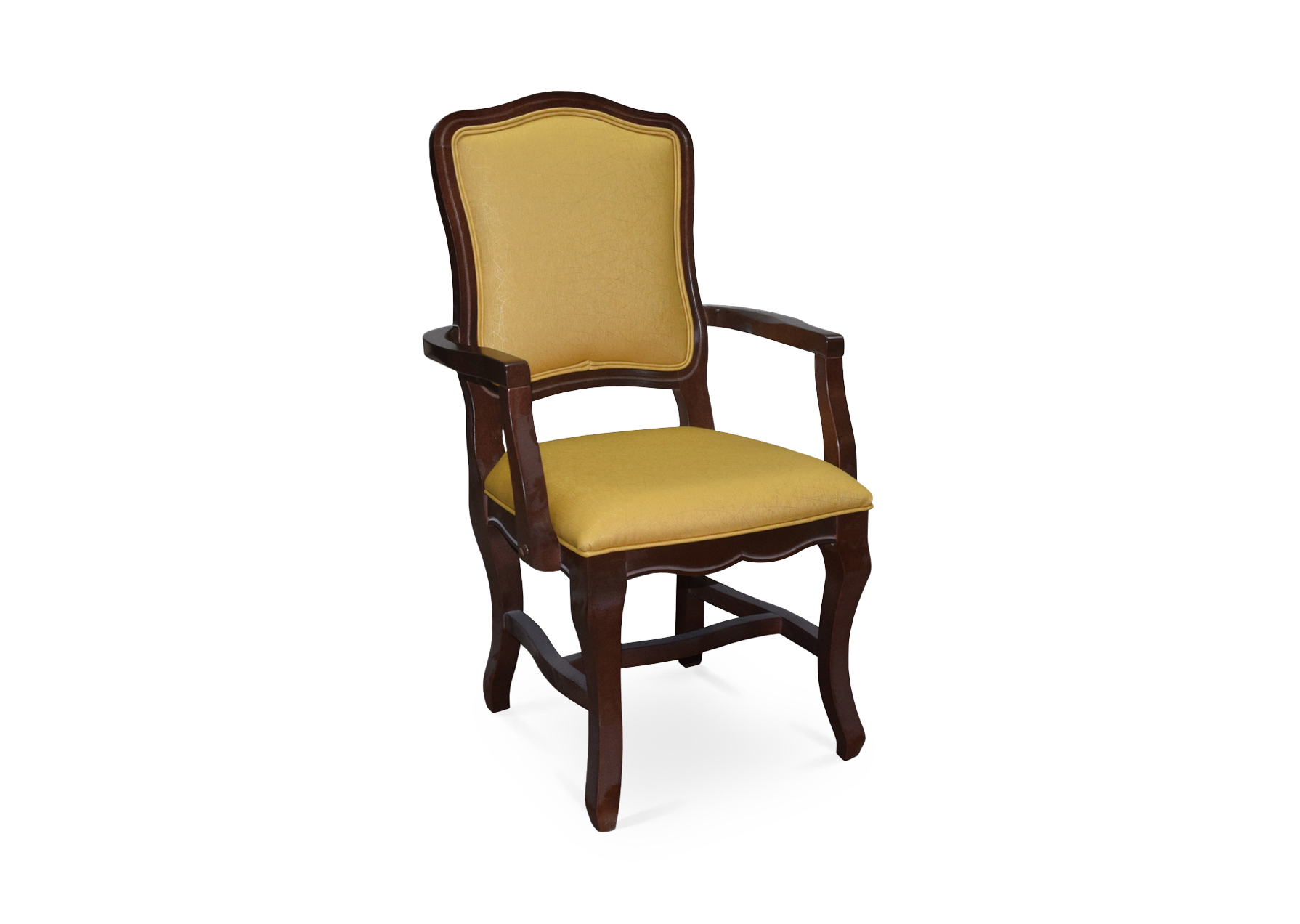 Ali Padded Armchair - Pavar